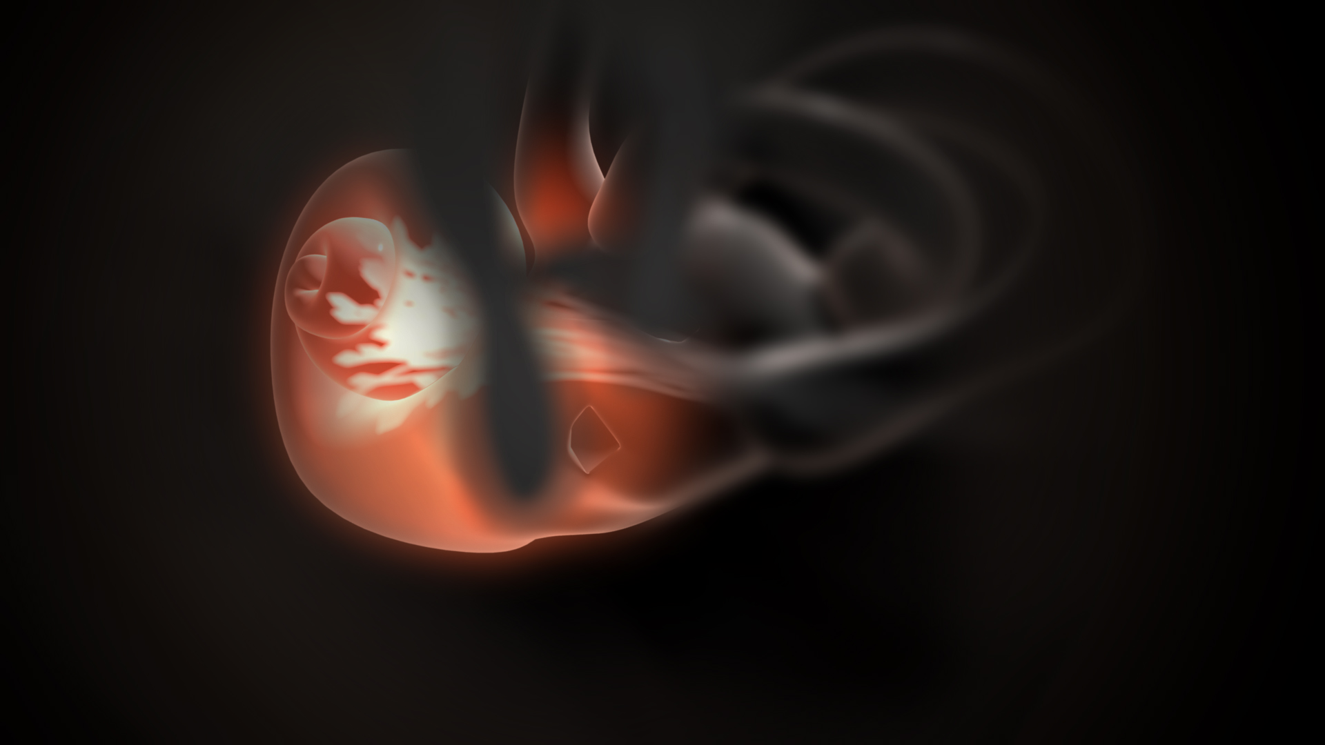 Scientific Animation: The Musical Brain | AXS Studio