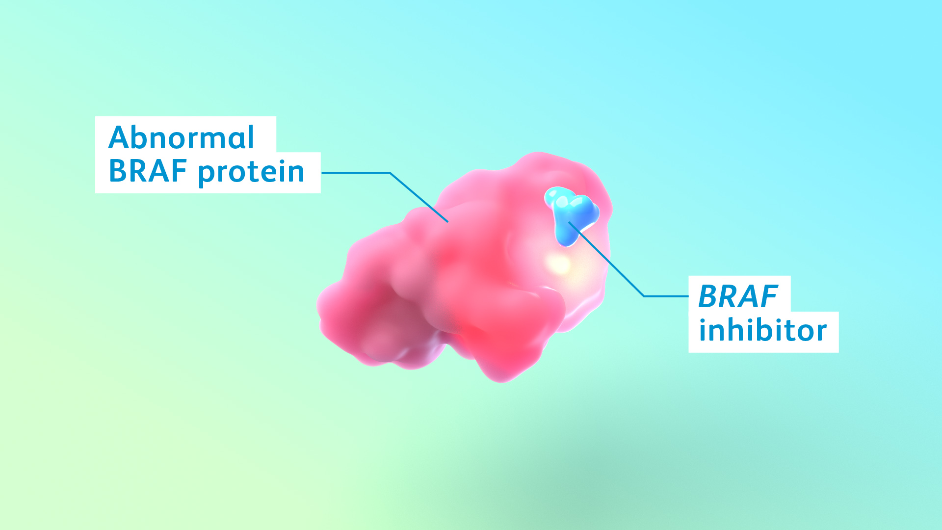 Medical Animation: BRAF Inhibitor for Melanoma