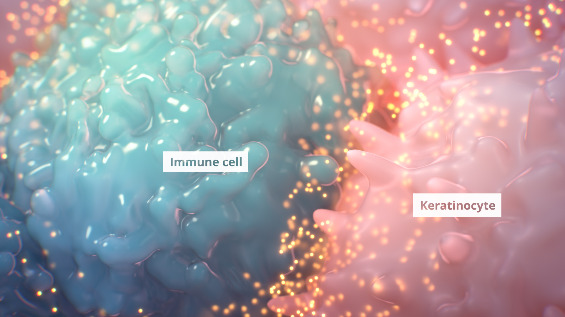 Plaque Psoriasis Drug MOA Animation - AXS Studio
