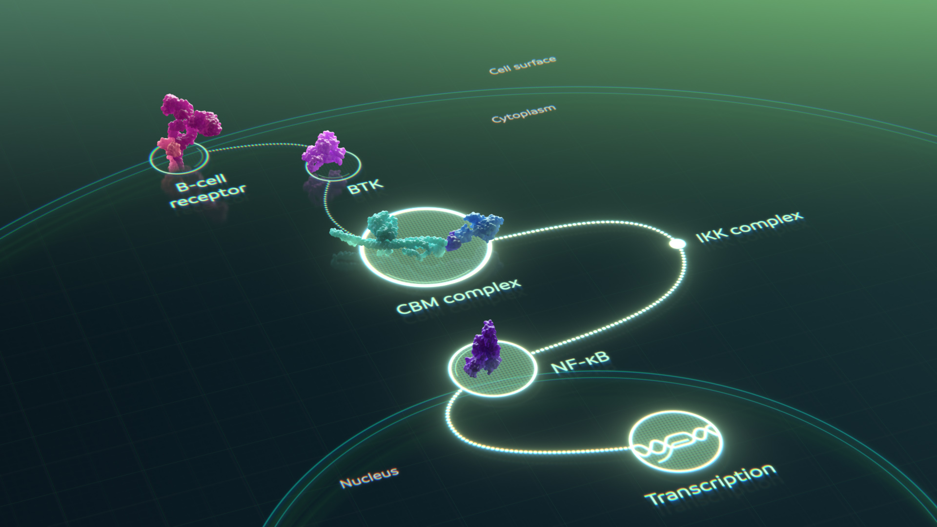 Medical Animation: Cancer Small Molecule MOA - AMI Award Winner