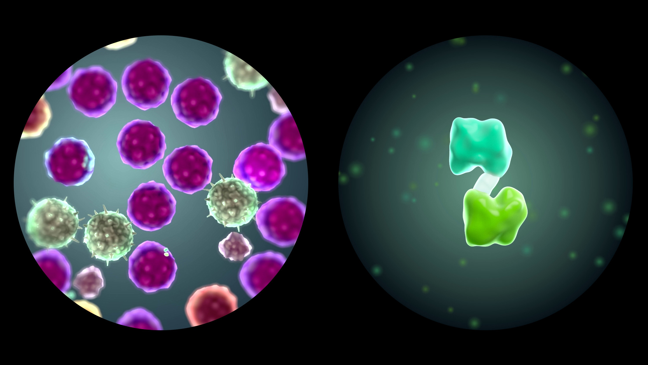 Interactive Experience: Cancer Immunotherapy Simulator