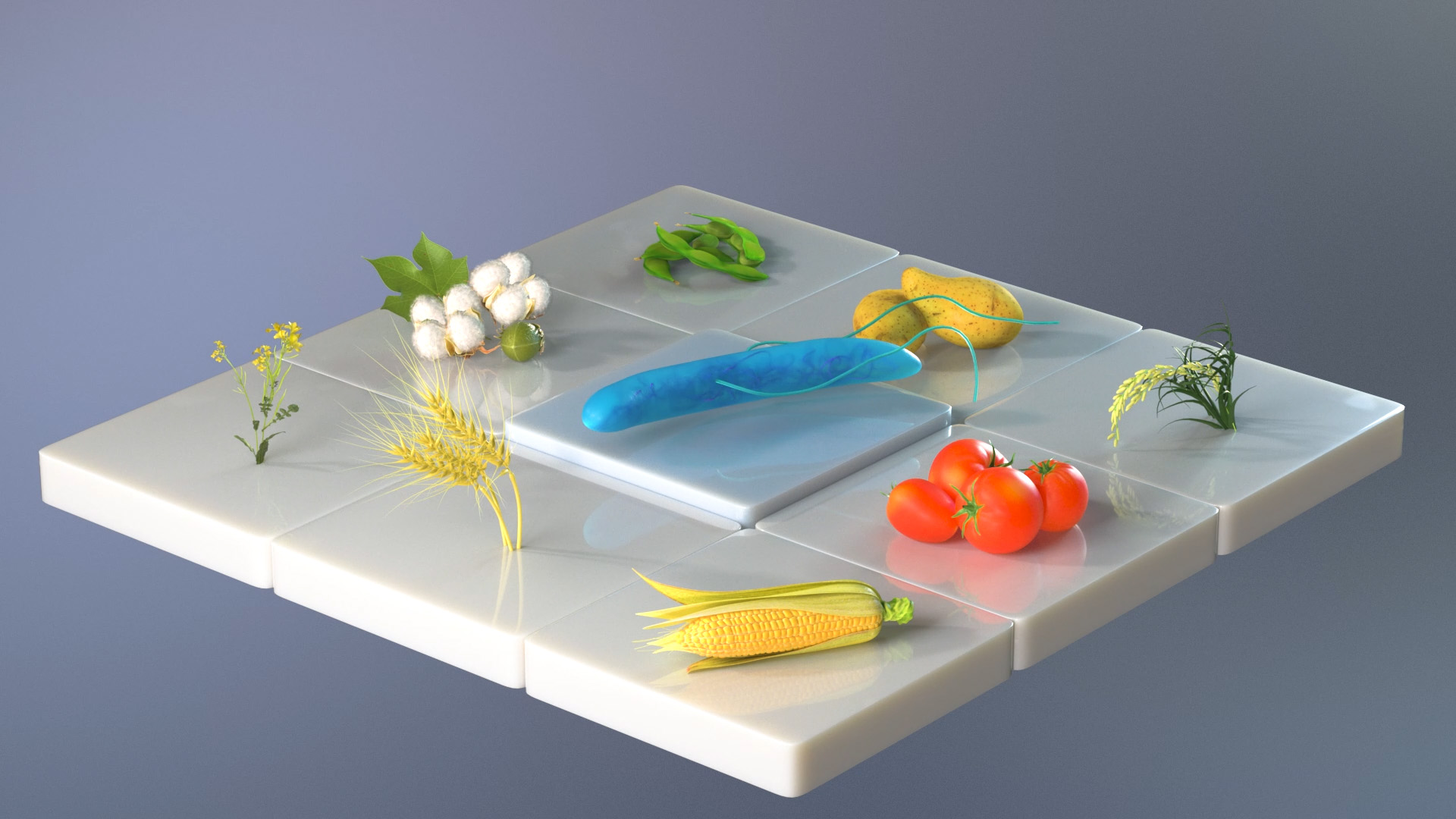 Agricultural Biotechnology Animation