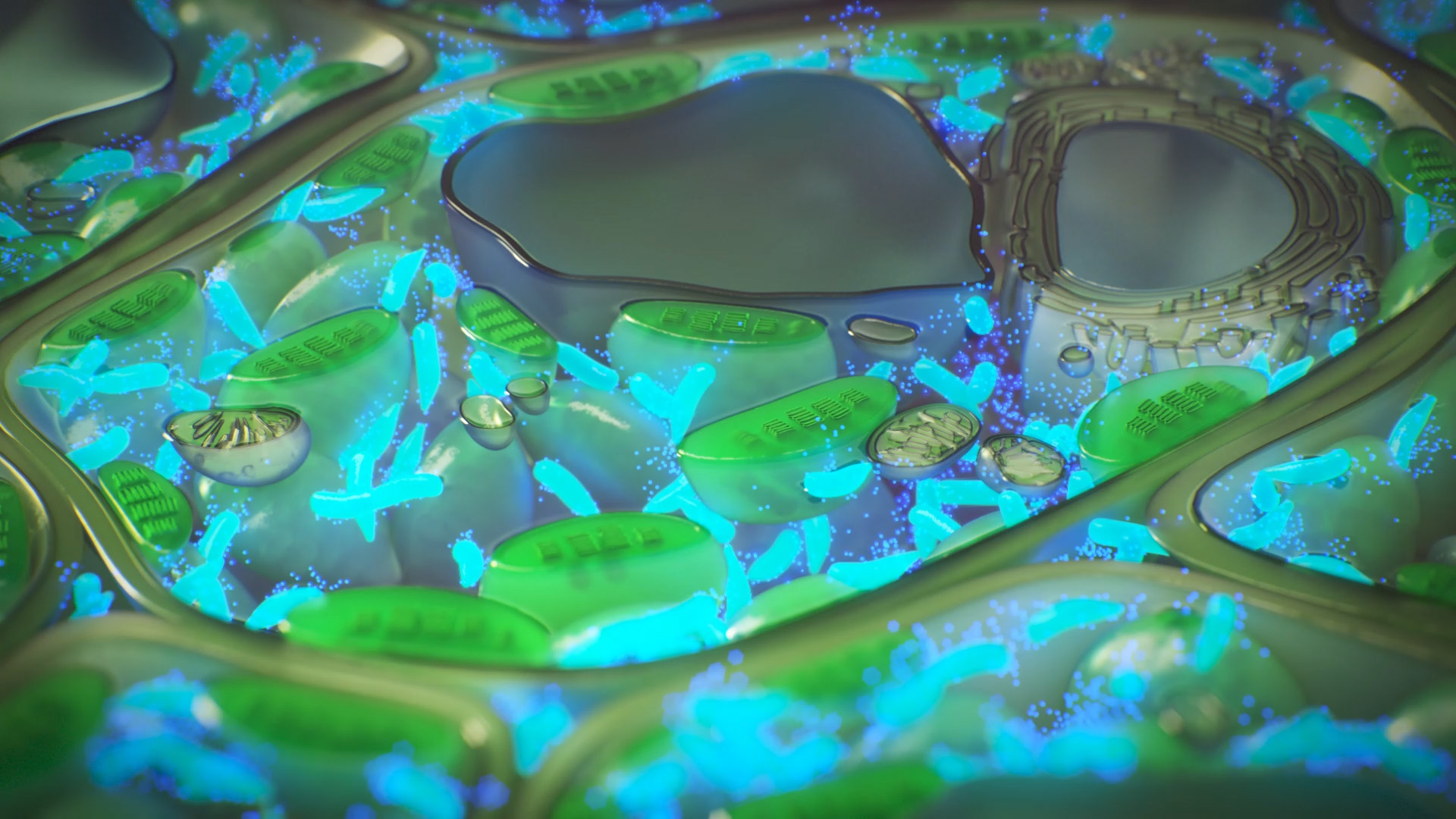 Agricultural Biotechnology Animation