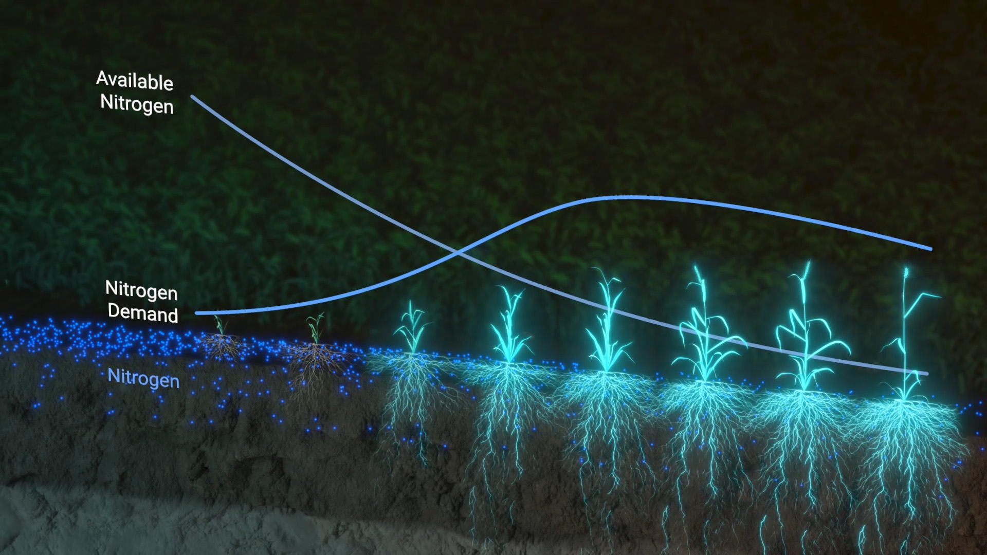 Agricultural Biotechnology Animation