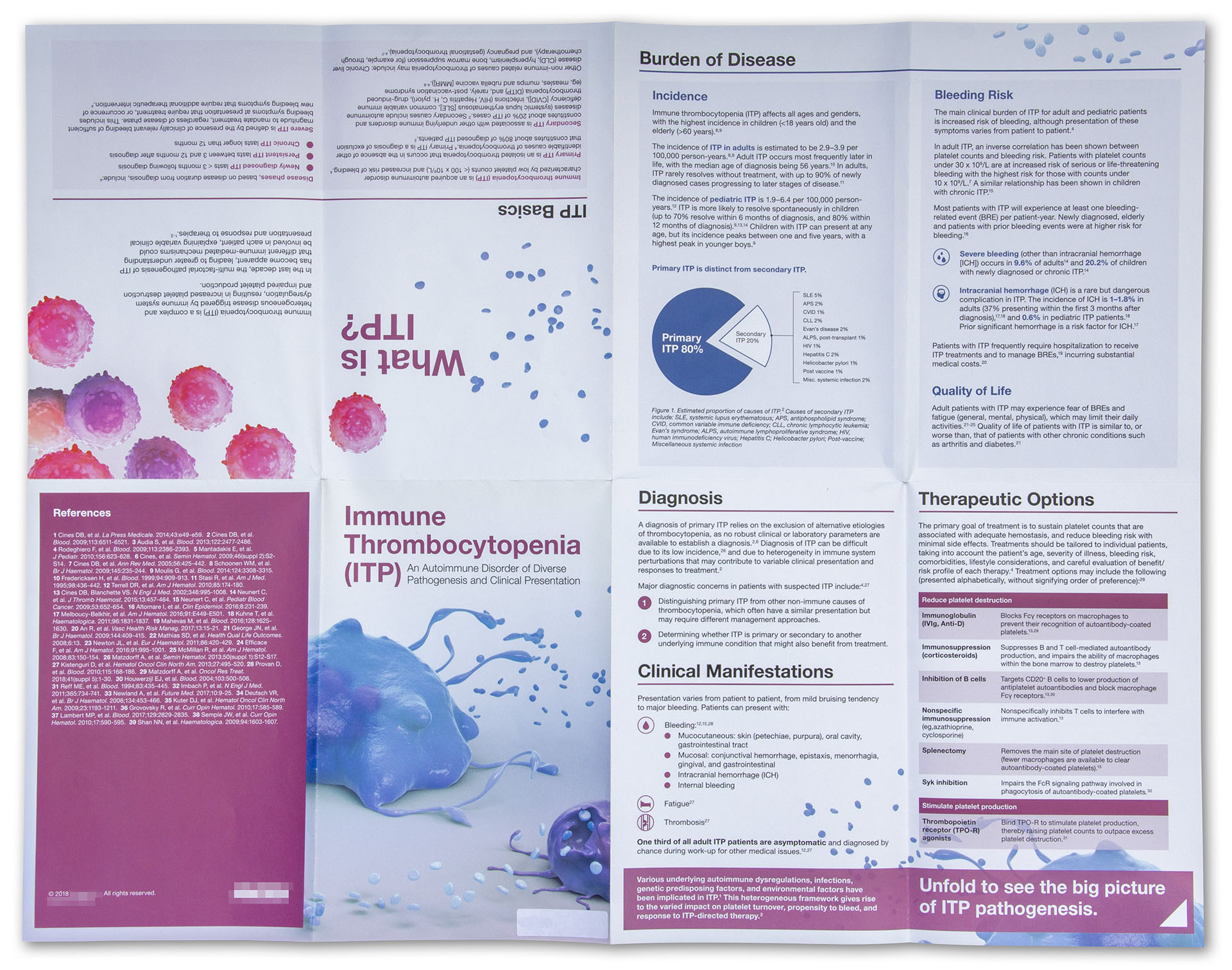 Autoimmune Disease Medical Illustration - AXS Studio
